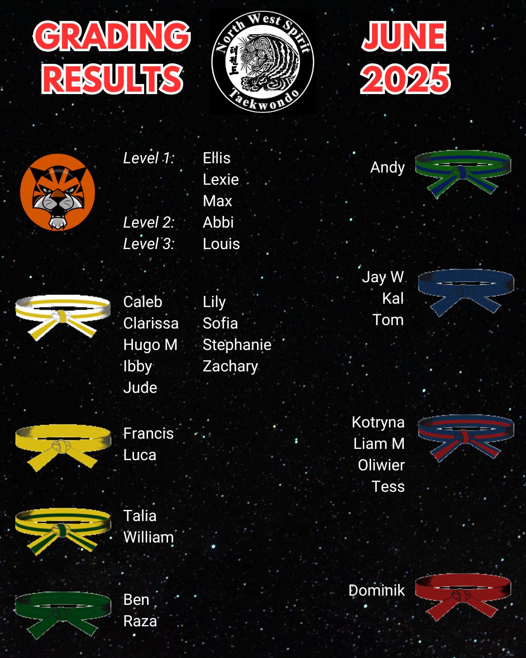 Colour Belt Grading Results: June 2025 - North West Spirit Taekwondo ...